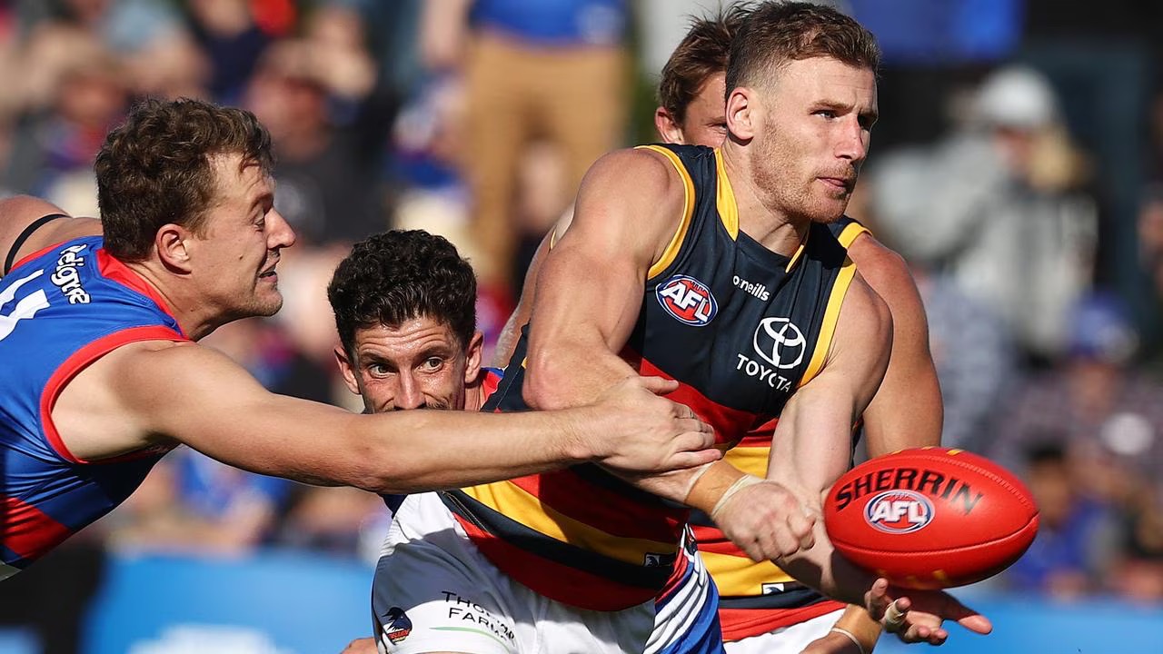 Geelong Cats vs Gold Coast Suns Match Prediction 12 June 2026