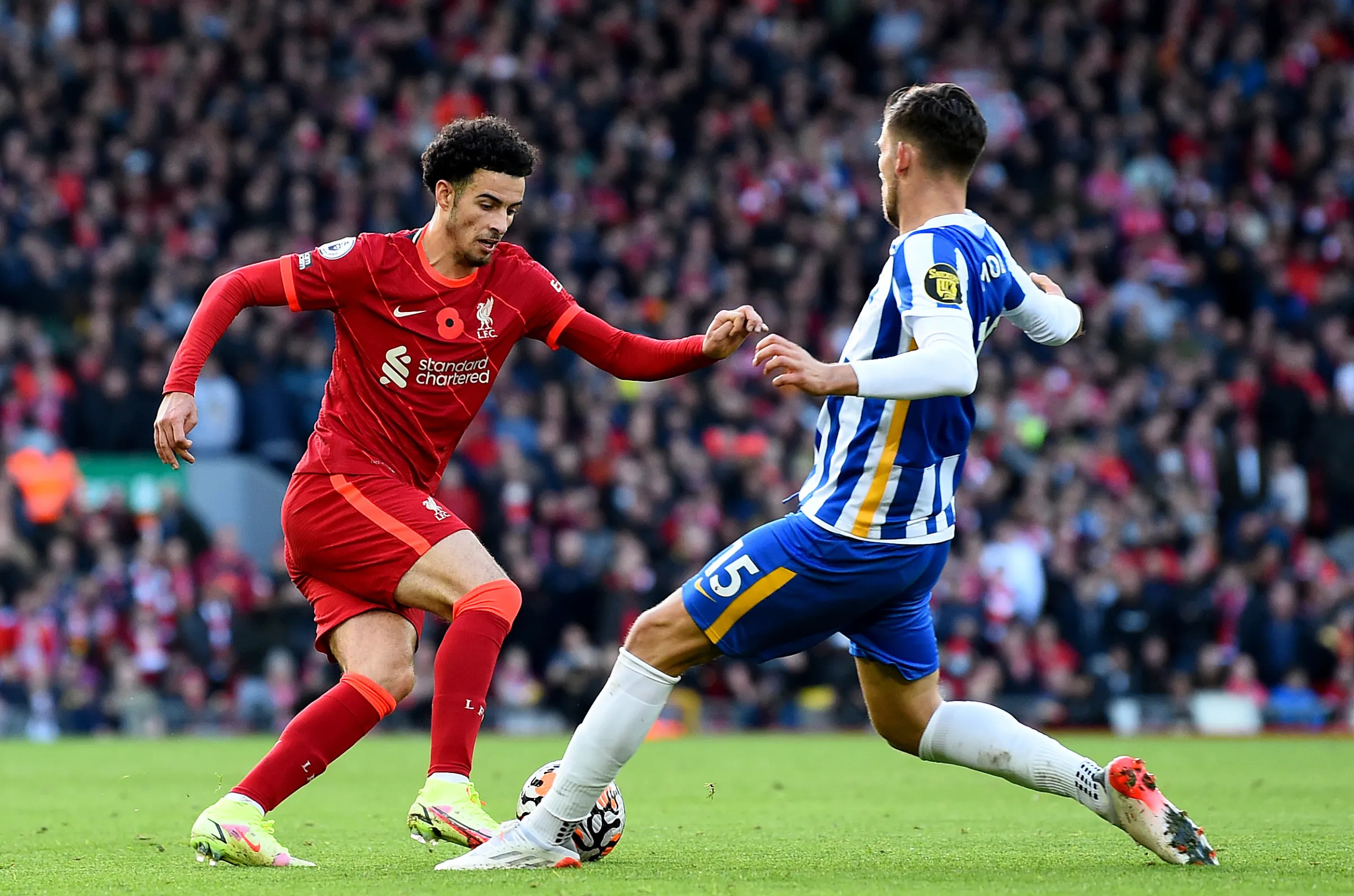 Svitolina vs Swiatek Prediction: World No. 2 Chases History